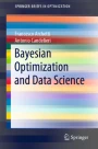 Bayesian Optimization and Data Science | Springer Nature Link (formerly ...