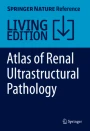 Atlas of Renal Ultrastructural Pathology | Springer Nature Link ...