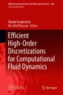Efficient High-Order Discretizations for Computational Fluid Dynamics | SpringerLink