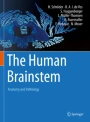 The Human Brainstem: Anatomy and Pathology | SpringerLink
