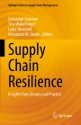 Supply Chain Resilience: Insights from Theory and Practice | SpringerLink