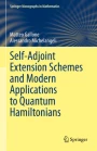 Self-Adjoint Extension Schemes and Modern Applications to Quantum Hamiltonians | SpringerLink