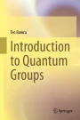 Introduction to Quantum Groups | SpringerLink