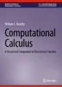 Computational Calculus: A Numerical Companion to Elementary Calculus ...