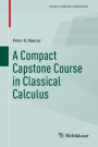 A Compact Capstone Course in Classical Calculus | SpringerLink
