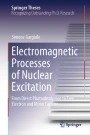 Electromagnetic Processes of Nuclear Excitation: From Direct Photoabsorption to Free Electron ...