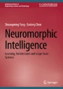 Neuromorphic Intelligence: Learning, Architectures and Large-Scale ...