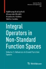 Integral Operators in Non-Standard Function Spaces: Volume 3: Advances ...