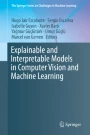 Explainable and Interpretable Models in Computer Vision and Machine Learning | SpringerLink