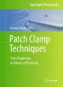 Patch Clamp Techniques: From Beginning to Advanced Protocols | SpringerLink