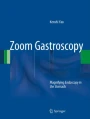 Zoom Gastroscopy: Magnifying Endoscopy in the Stomach | Springer Nature ...