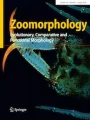 Home | Zoomorphology