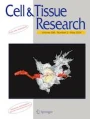 Home | Cell and Tissue Research