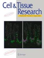 Home | Cell and Tissue Research