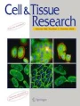 Home | Cell and Tissue Research