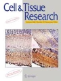 Home | Cell and Tissue Research
