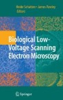 The Early Development of the Scanning Electron Microscope | SpringerLink