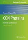 Western Blot Protocols for Analysis of CCN Proteins and Fragments in ...