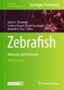 Mutation Knock-in Methods Using Single-Stranded DNA and Gene Editing ...