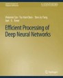 Efficient Processing of Deep Neural Networks | SpringerLink