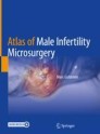 Microsurgical Spermatocelectomy | SpringerLink