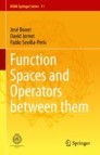 Function Spaces and Operators between them | SpringerLink