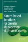 Wetlands as a Nature-based Solution for Urban Water Management | SpringerLink