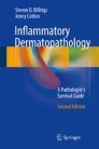 Perivascular Dermatitis | SpringerLink