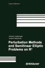 Perturbation Methods and Semilinear Elliptic Problems on R^n | SpringerLink