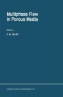 Multiphase Flow in Porous Media | SpringerLink