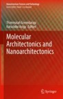 Functional Molecule-Templated DNA Molecular Architectonics | SpringerLink