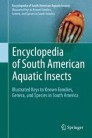 Encyclopedia of South American Aquatic Insects | Book series home
