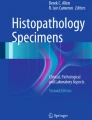 A review of anatomy, pathology, and disease spread in the perisplenic ...