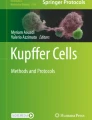 Functional and morphological characterization of cultures of Kupffer ...
