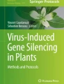 Principles and practice of virus induced gene silencing for functional ...