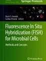Single-Molecule Fluorescent In Situ Hybridization (smFISH) for RNA Detection in Bacteria ...