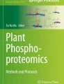 Reversible protein phosphorylation in higher plants: focus on state ...