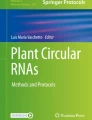 A lariat-derived circular RNA is required for plant development in ...