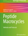 Protocols for Building and Producing High Diversity Peptide Phage Display Libraries | SpringerLink
