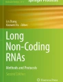 RIP: RNA Immunoprecipitation | SpringerLink