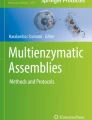Research progress of multi-enzyme complexes based on the design of ...