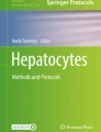 Isolation of Primary Mouse Hepatocytes and Non-Parenchymal Cells from a ...