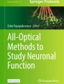 Needle beam two-photon microscopy for simultaneous multiplane neural ...