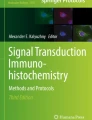 Determination of Autoantibodies by Line Immunoblotting | Springer ...