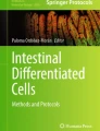 The intestinal epithelium tuft cells: specification and function ...