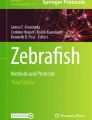 Zebrafish: A Marvel of High-Throughput Biology for 21st Century ...
