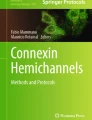 Connexin-Containing Vesicles for Drug Delivery | The AAPS Journal