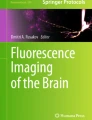 Calcium Imaging in Brain Tissue Slices | SpringerLink