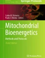 Methods for Monitoring Mitophagy Using mt-Keima | SpringerLink