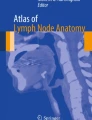 Chest Lymph Node Anatomy | SpringerLink